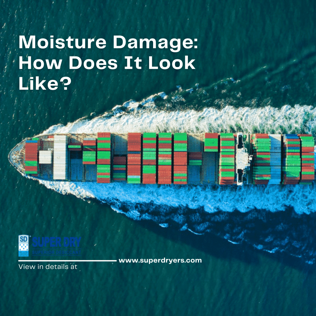 Moisture Damage: How Does It Look Like? - Super Dry