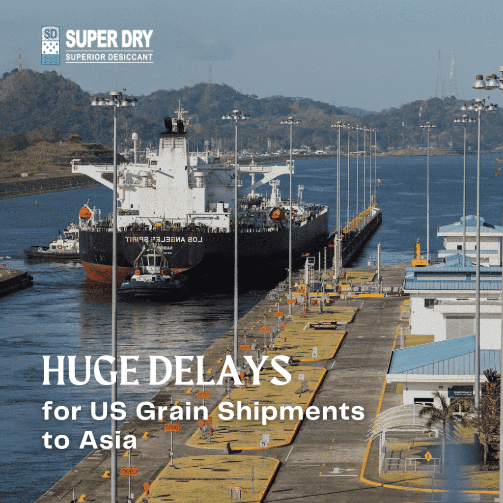 Massive Delay in Panama Canal - Super Dry